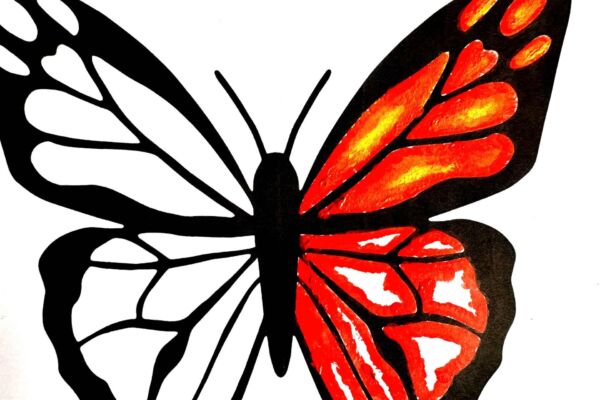 Q-tip Painting| Butterfly Activities