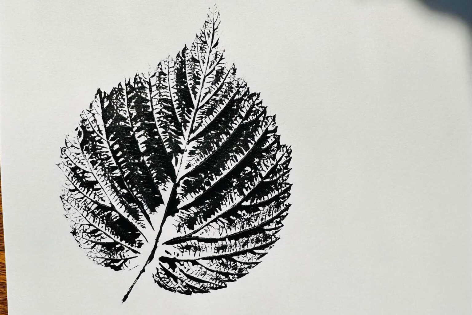 Leaf Printing | Lightly Sketched