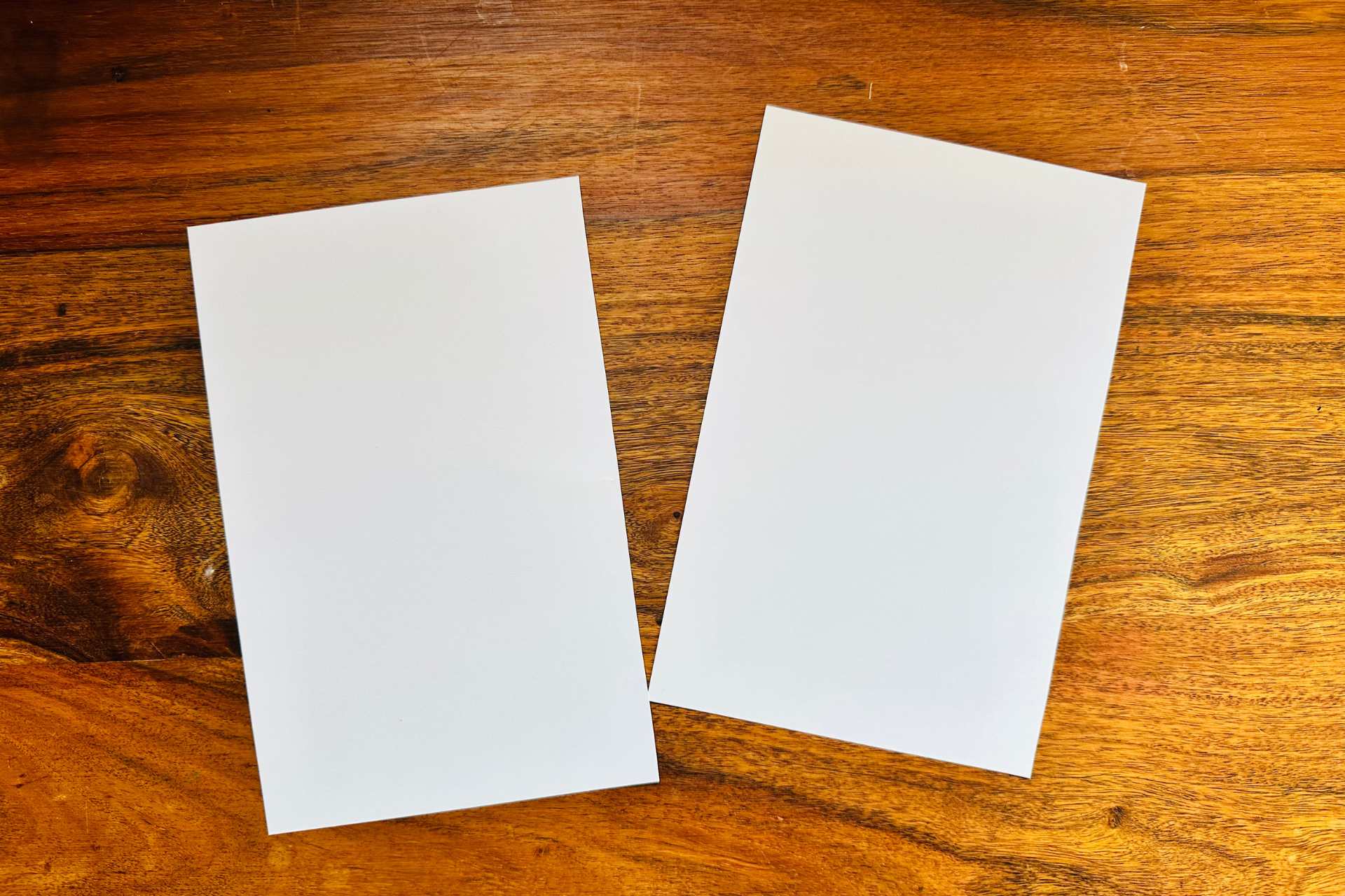 Leaf Printing | Lightly Sketched