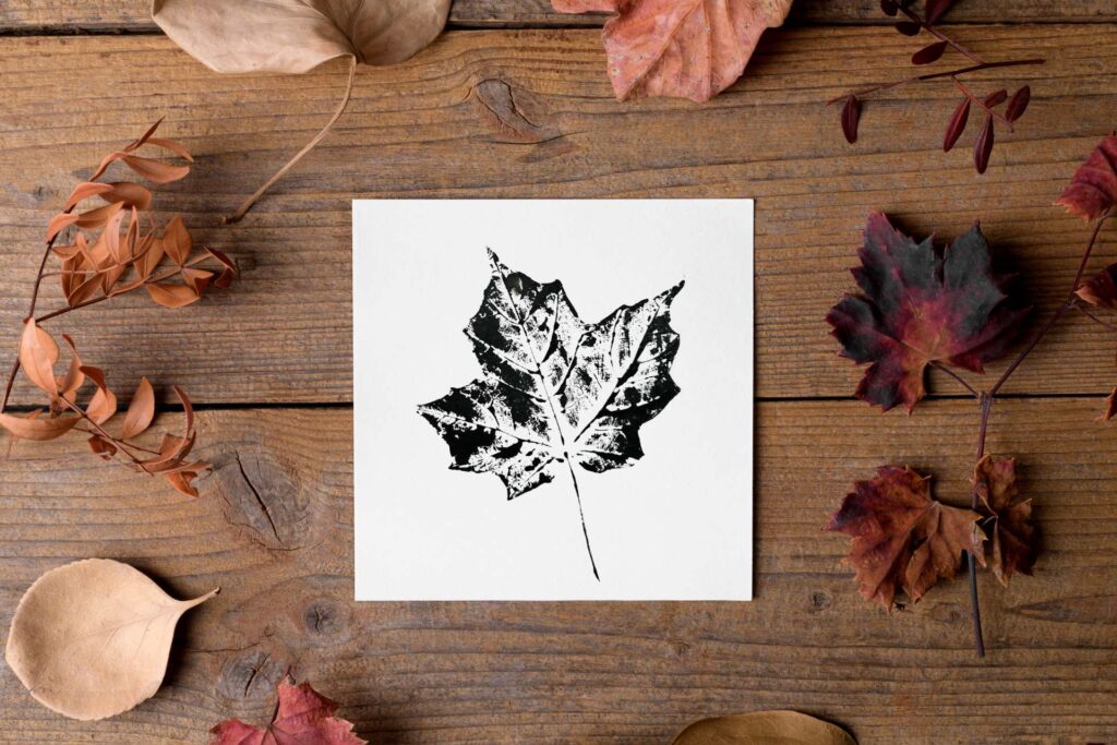 Leaf Printing | Lightly Sketched