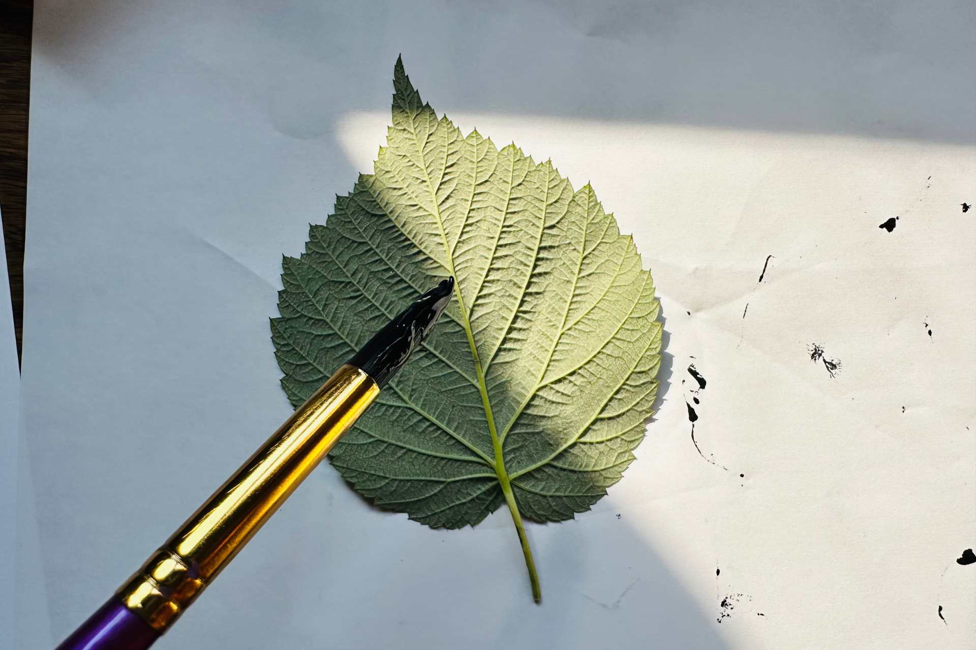 Leaf Printing | Lightly Sketched