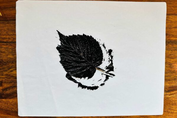 Leaf Printing | Lightly Sketched
