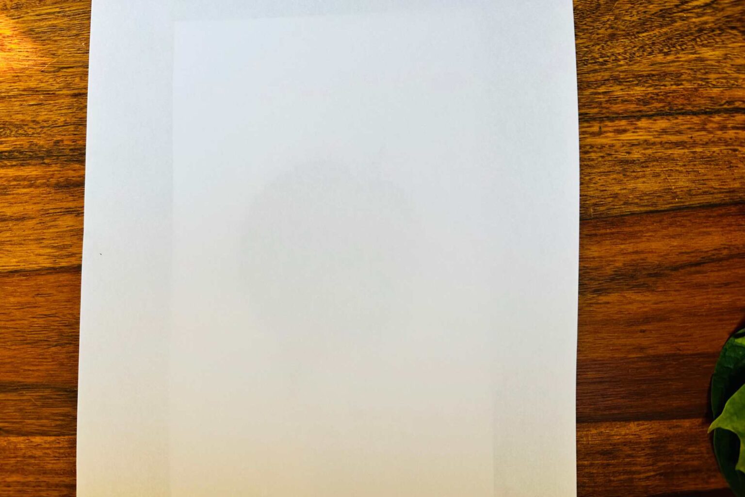 Leaf Printing | Lightly Sketched