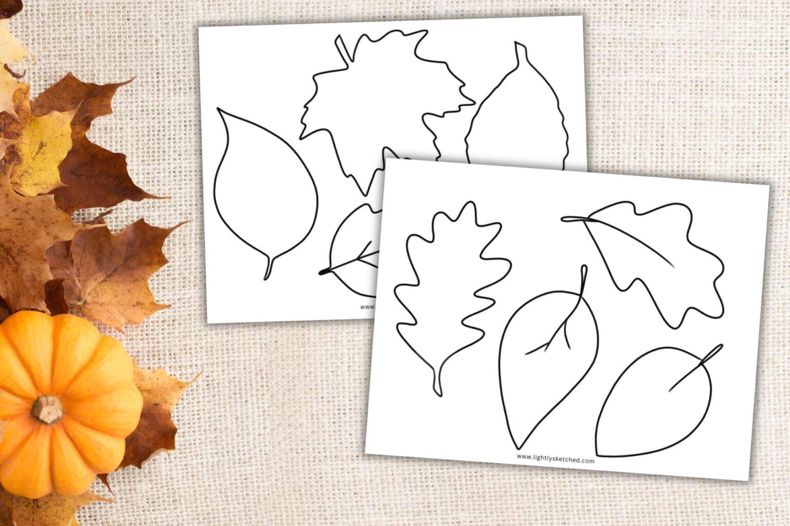 Gratitude Activity for Kids | Lightly Sketched