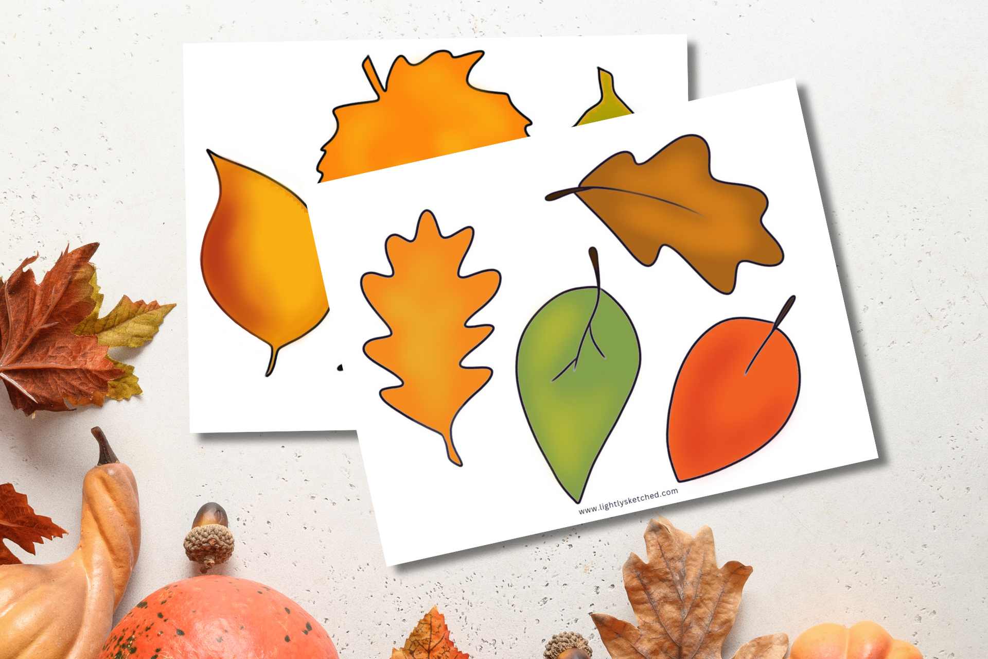 Gratitude Activity for Kids | Lightly Sketched