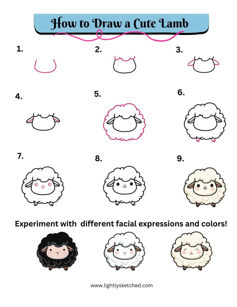 How to Draw a Lamb | Lightly Sketched